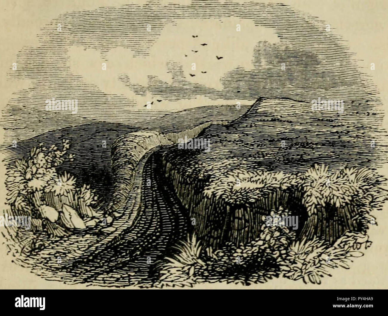 "The roads and railroads, vehicles, and modes of travelling, of ancient ...