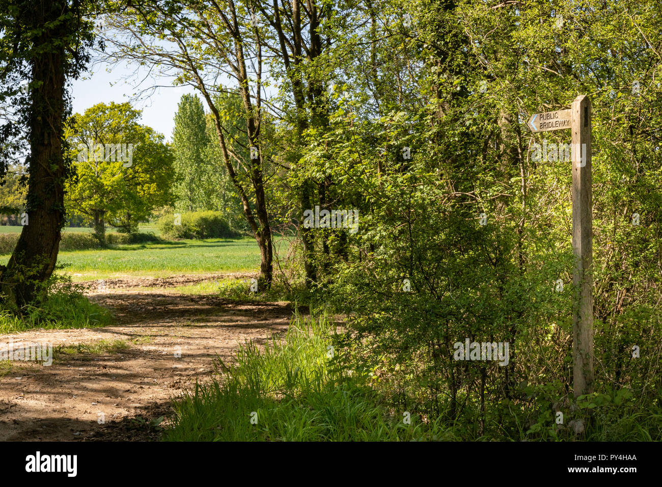 Footpaths and roads Billingshurst West Sussex UK Stock Photo - Alamy