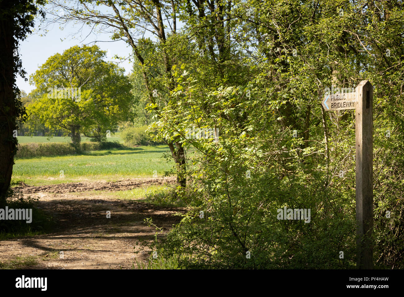 Footpaths and roads Billingshurst West Sussex UK Stock Photo - Alamy