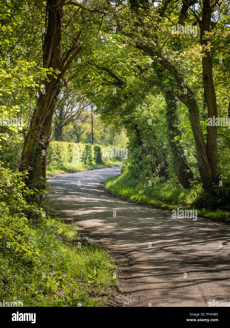 English billingshurst sussex hi-res stock photography and images - Alamy