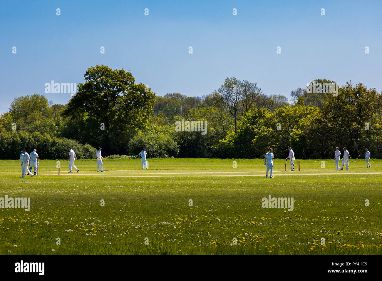 Jubilee Fields Cricket Pitch Billingshurst West Sussex UK Stock Photo ...