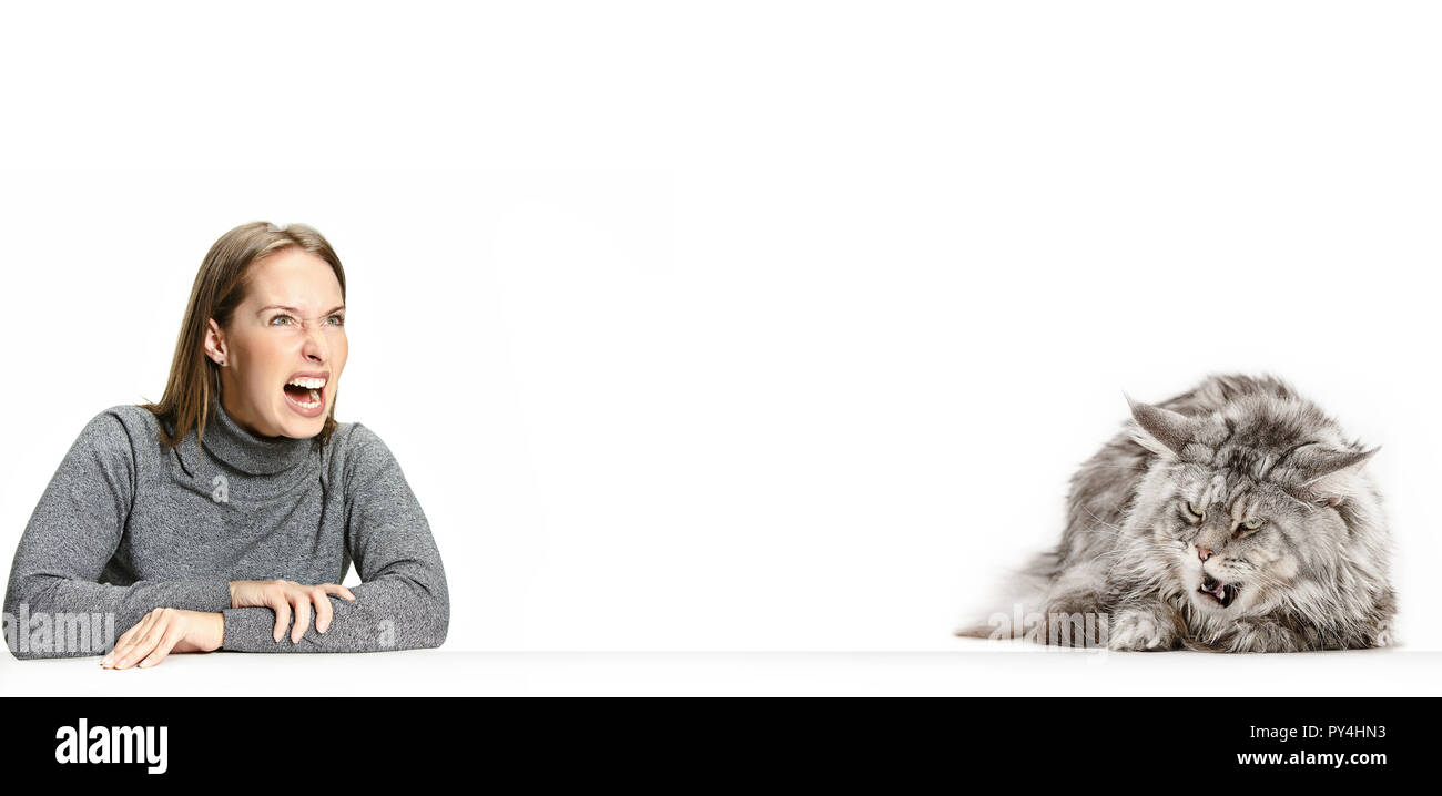 The angry and screaming woman and her cat over white background. The ...