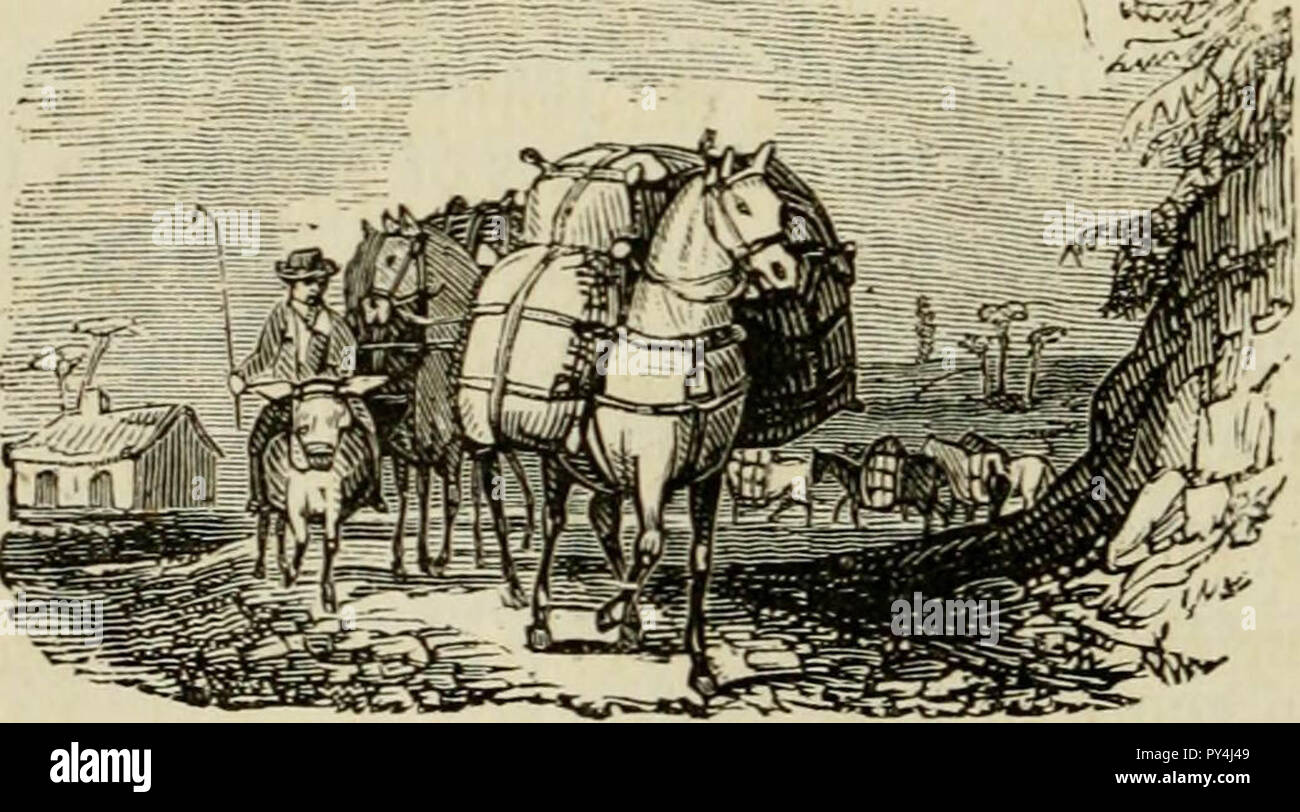 "The roads and railroads, vehicles, and modes of travelling, of ancient ...