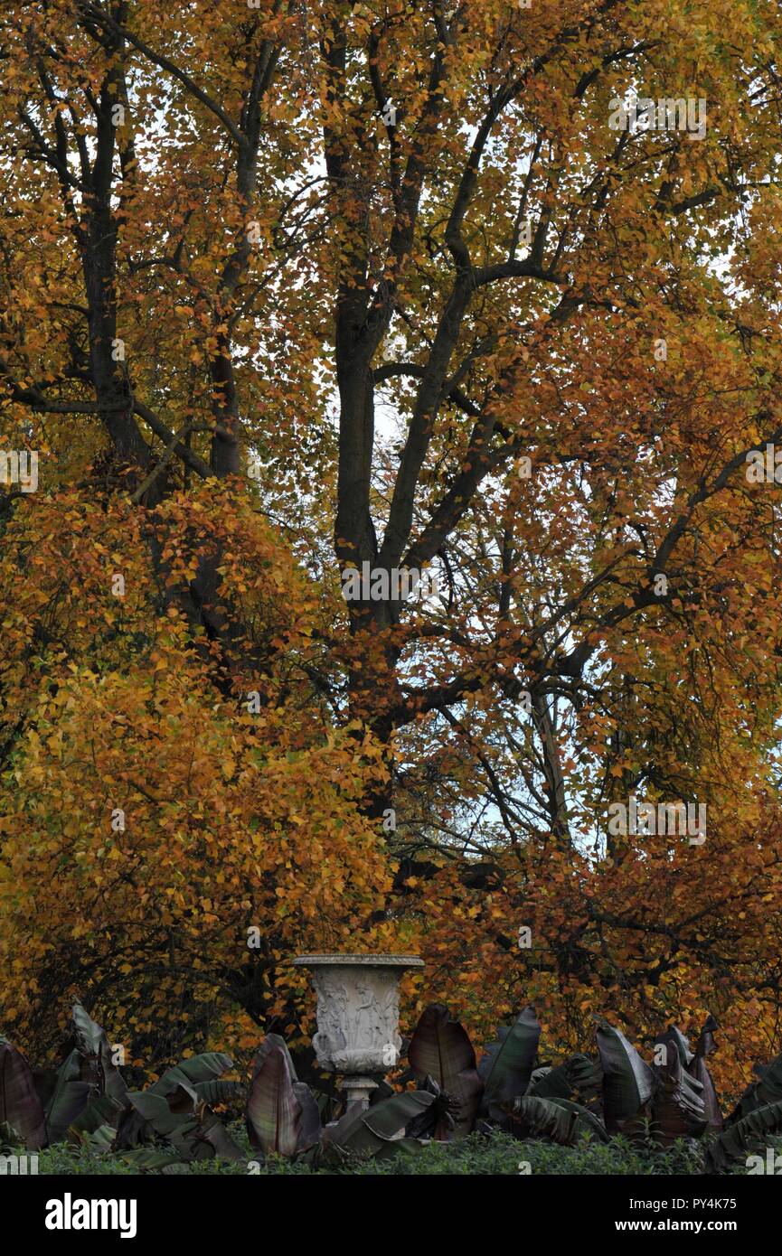 Glorious autumn colours Stock Photo - Alamy