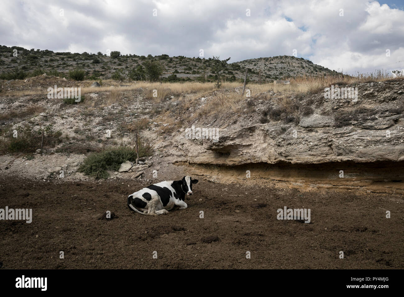 Livestock farming greece hi-res stock photography and images - Alamy