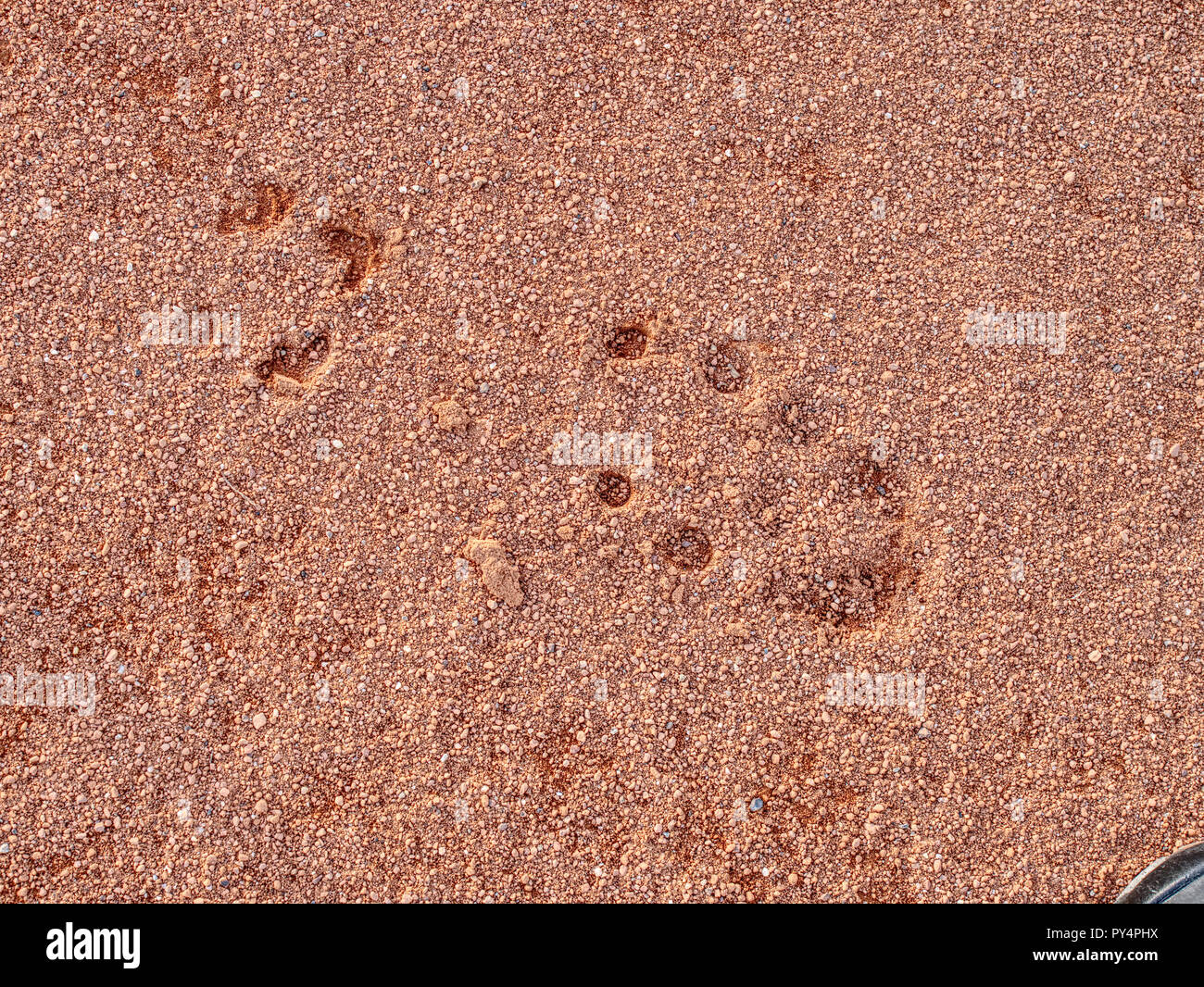 Footprint of soccer shoe in tennis court surface. Deep marks in detail ...