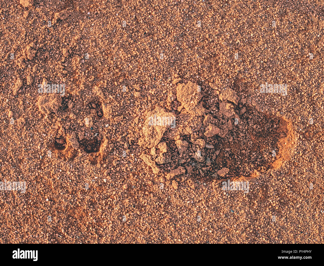 Footprint of soccer shoe in tennis court surface. Deep marks in detail ...