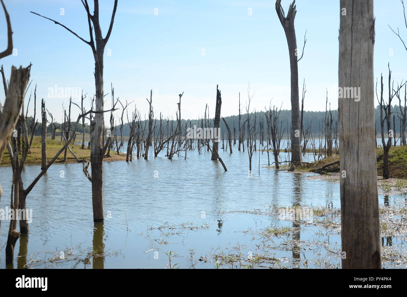 Tinaroo Falls Dam High Resolution Stock Photography and Images - Alamy