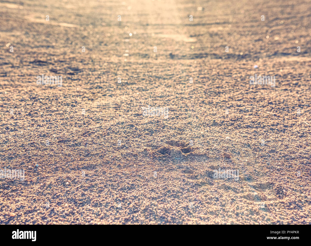 Footballer shoes footmark in the sports court surface. Footprints and ...