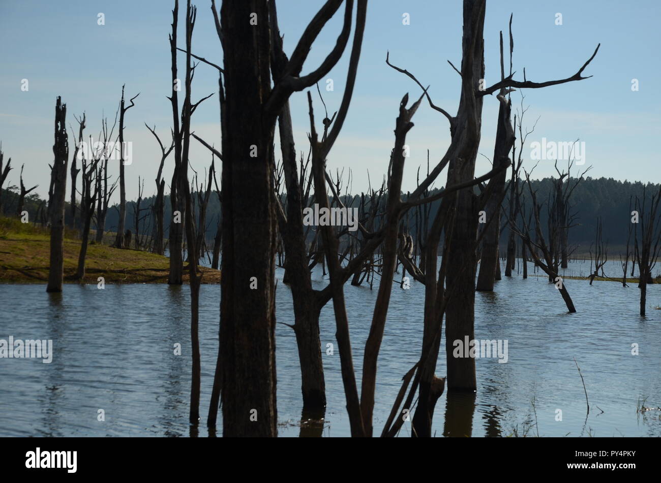 Tinaroo queensland hi-res stock photography and images - Alamy