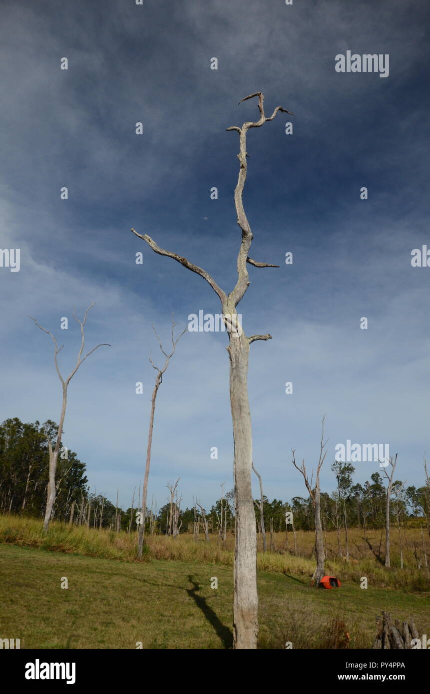 Tinaroo Falls Dam High Resolution Stock Photography and Images - Alamy