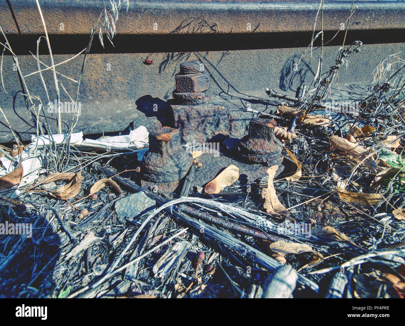 Detail of rusty screws and nut on old railroad track. Rotten wooden tie ...