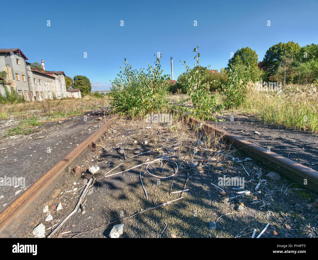 Closeup of an old rusty screw in rails. Detail of rusty screws and nut ...