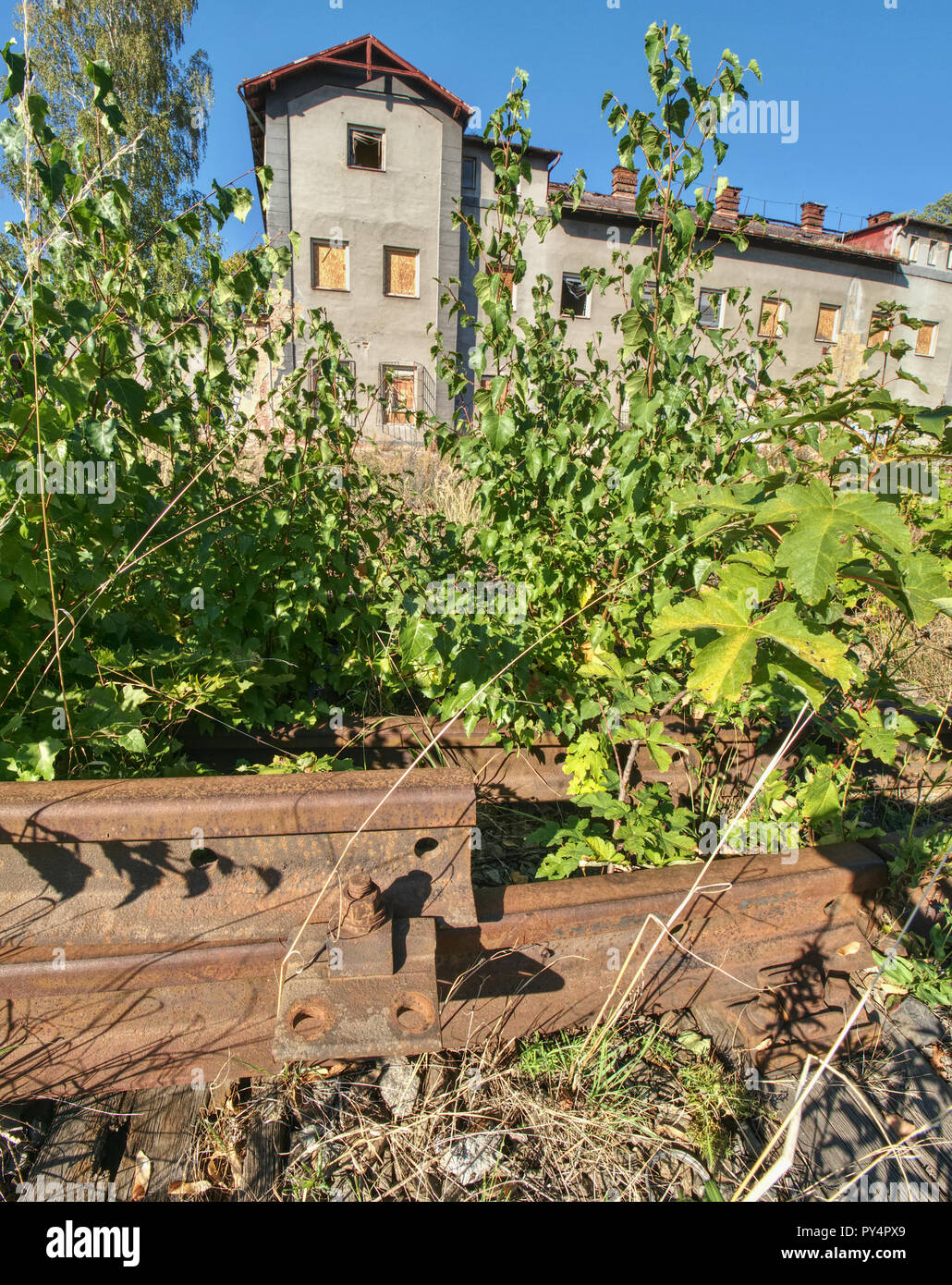 Detail of rusty screws and nut on old railroad track. Rotten wooden tie ...