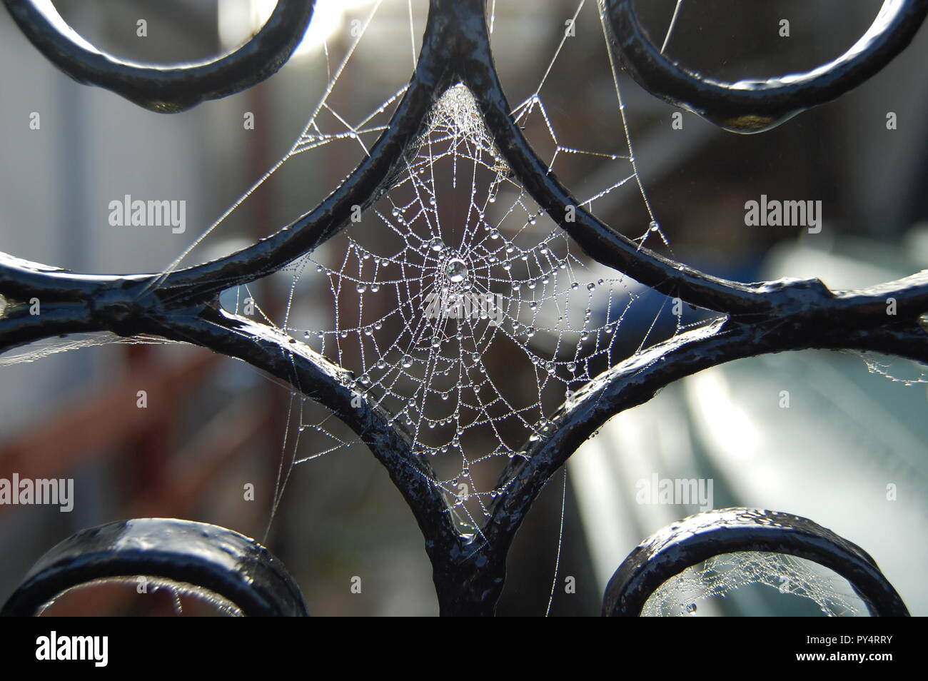 Wrought iron cobweb hi-res stock photography and images - Alamy