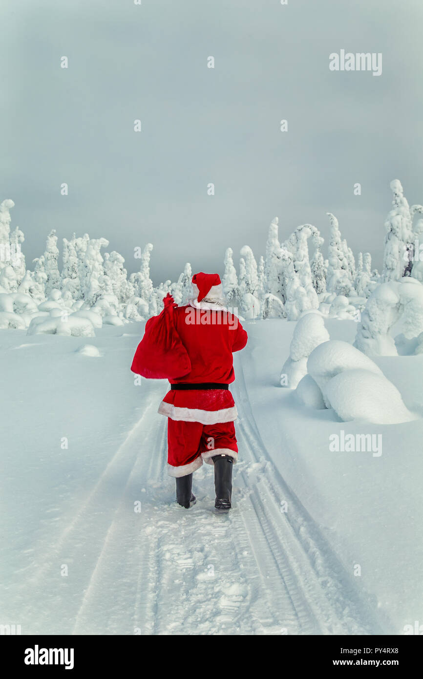 Authentic Santa Claus in Lapland. Magnificent snow-covered landscape ...