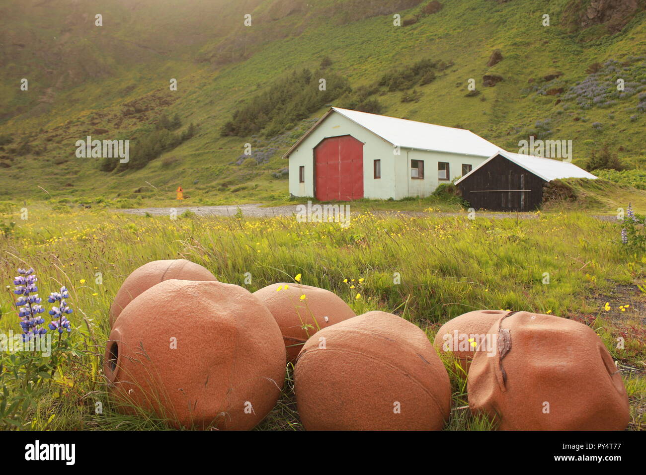 A Rural Icelandic Landscape featuring two buildings and some marine ...
