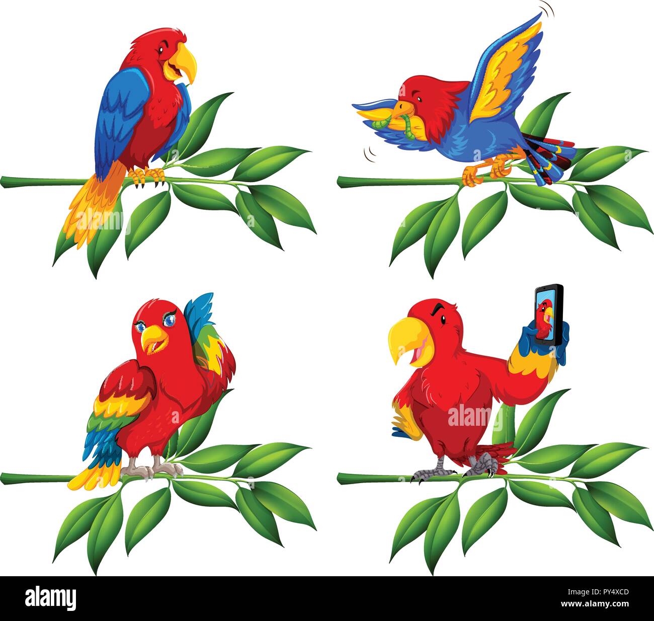 Set of parrot on tree branch illustration Stock Vector Image & Art - Alamy
