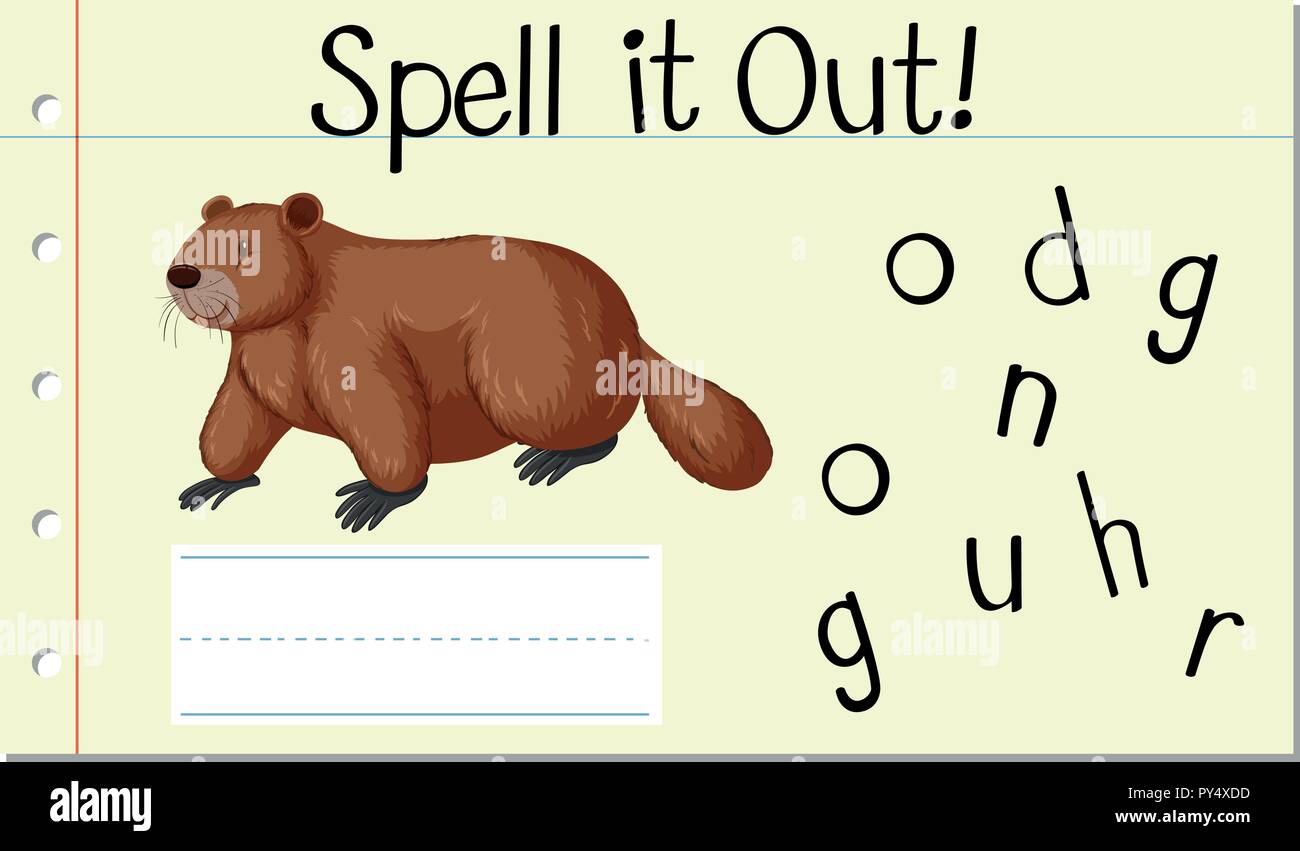 Spell English word groundhog illustration Stock Vector Image & Art - Alamy