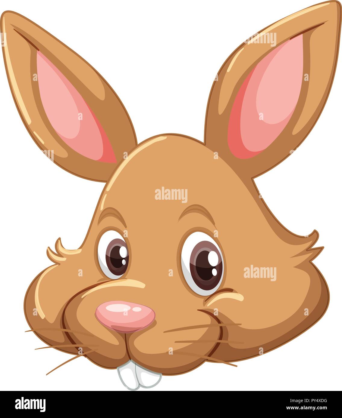 Bunny face on white background illustration Stock Vector Image & Art ...