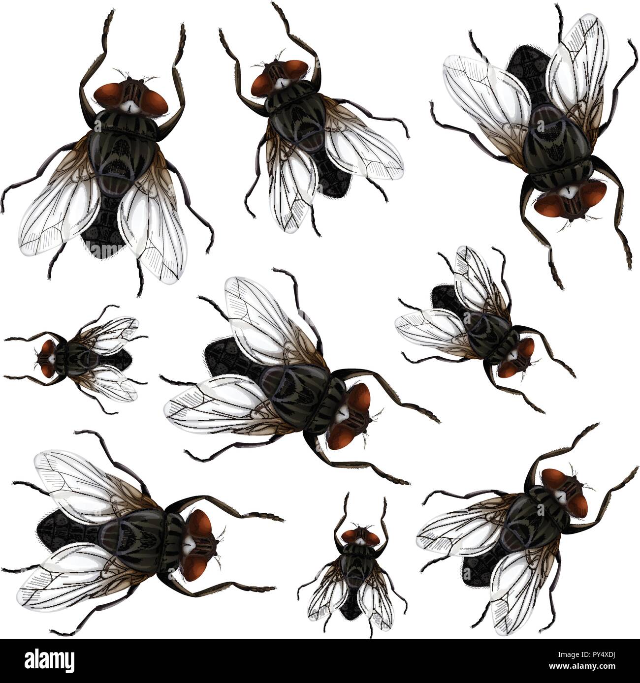 Many fly on white background illustration Stock Vector Image & Art - Alamy