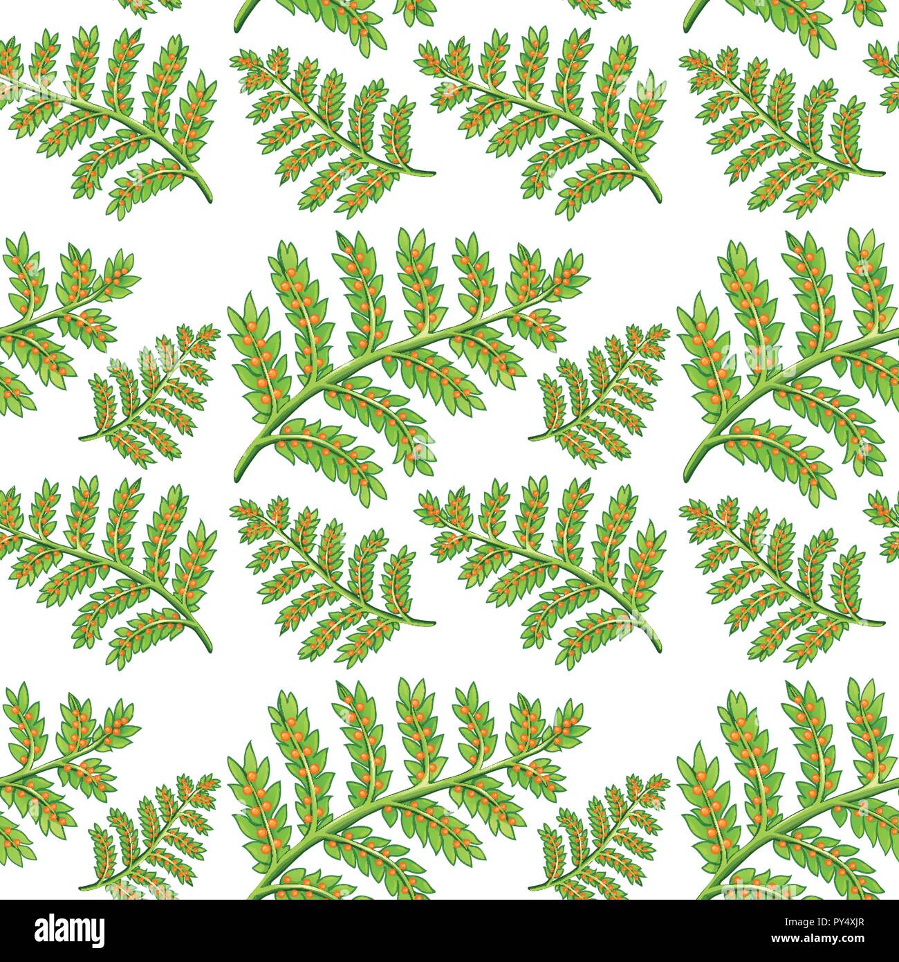 green fern seamless pattern illustration Stock Vector Image & Art - Alamy
