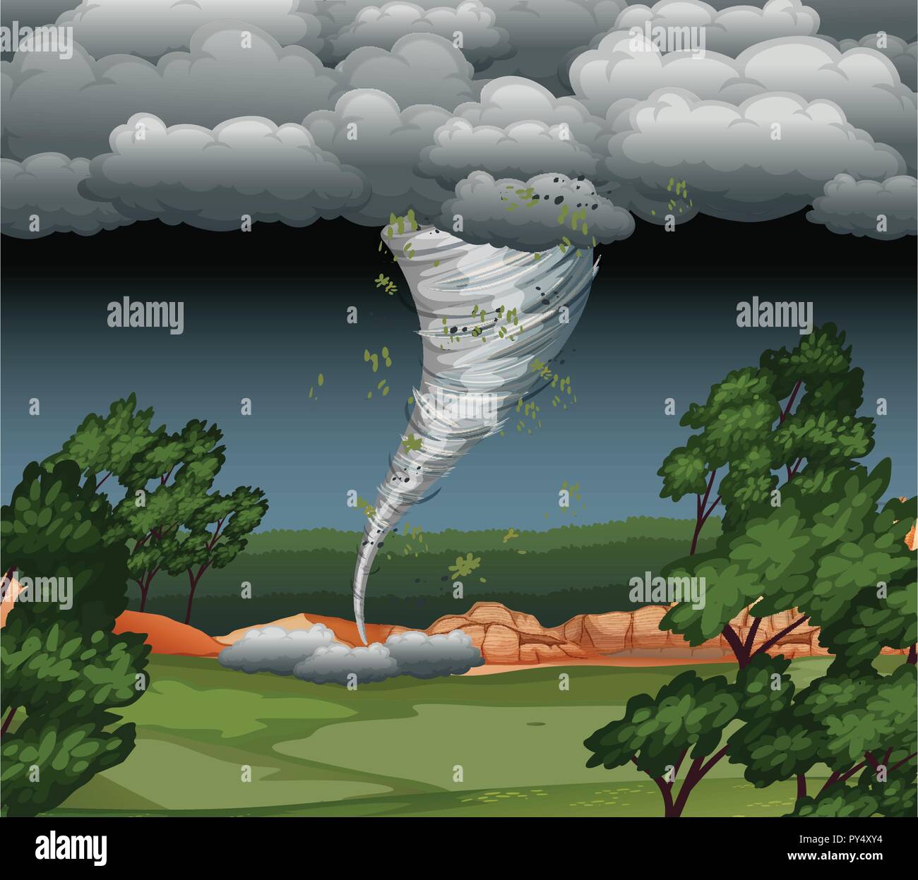 Storm rain forest Stock Vector Images - Alamy