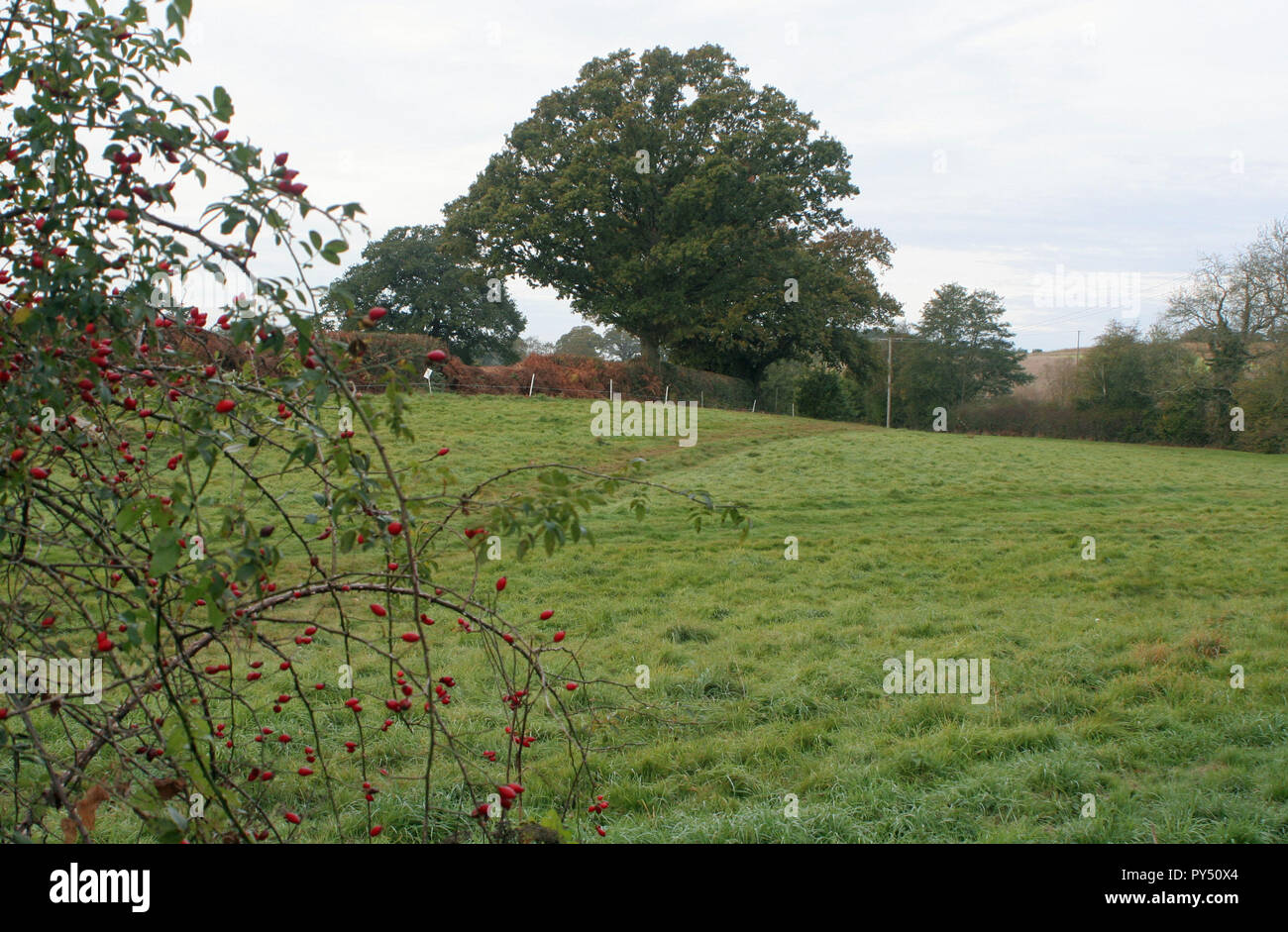Ouse valley way hi-res stock photography and images - Alamy
