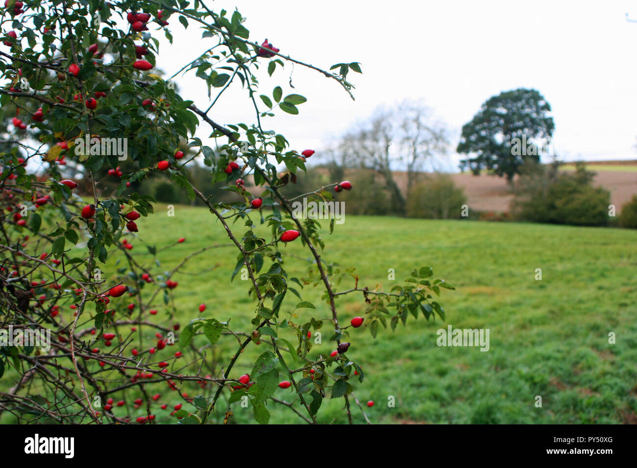 Ouse valley way hi-res stock photography and images - Alamy