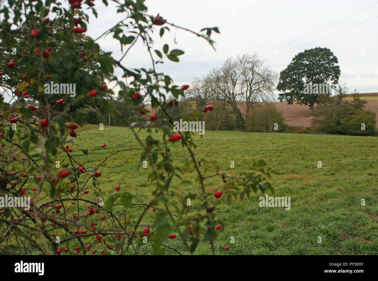 Ouse valley way hi-res stock photography and images - Alamy