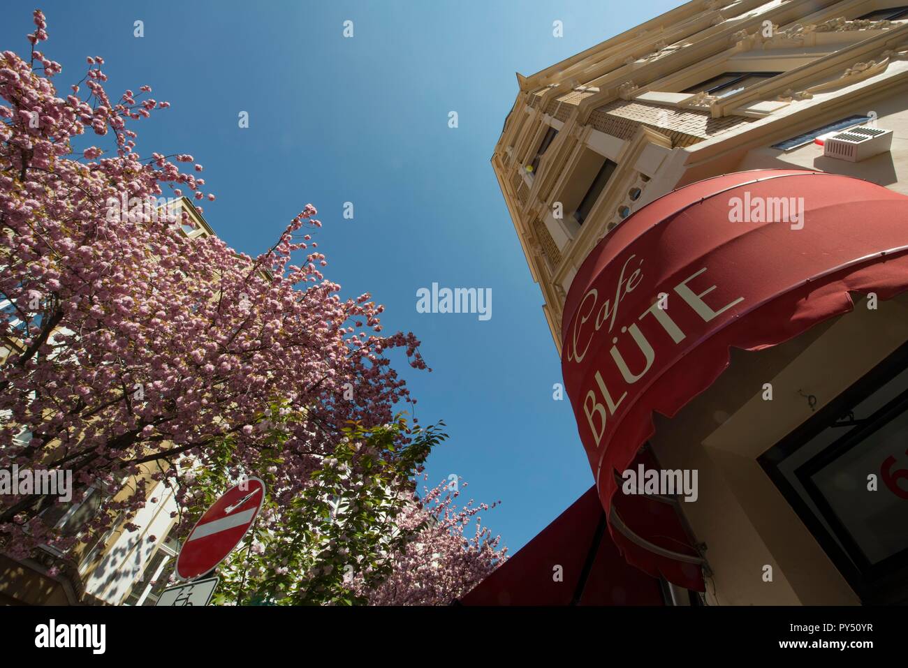 Cafe blute hi-res stock photography and images - Alamy