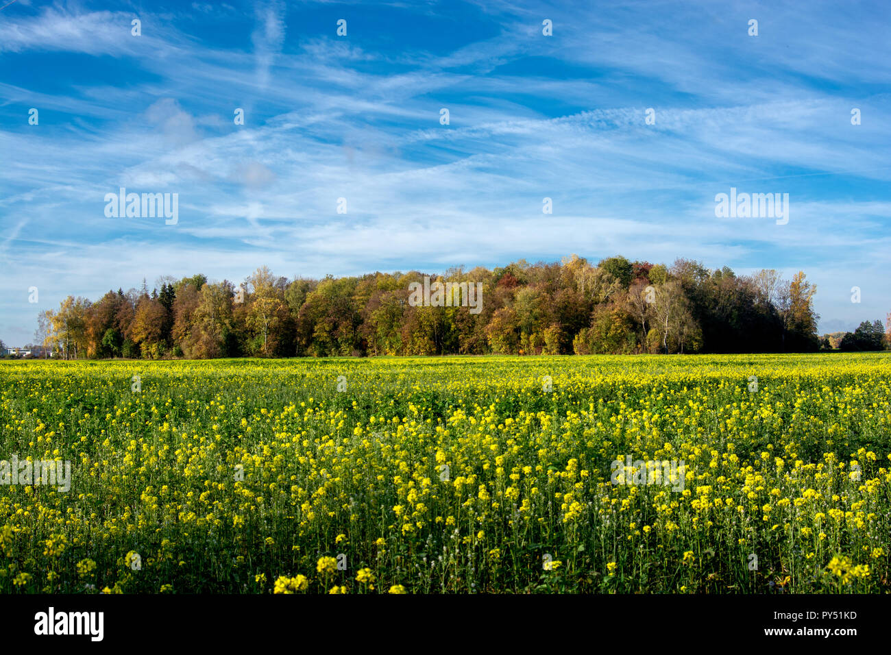 Concept landscape : Landscape around a town Stock Photo - Alamy