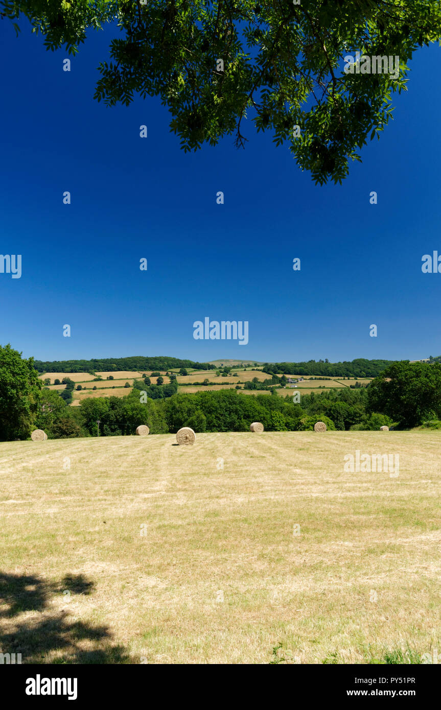 Hay fields hi-res stock photography and images - Alamy