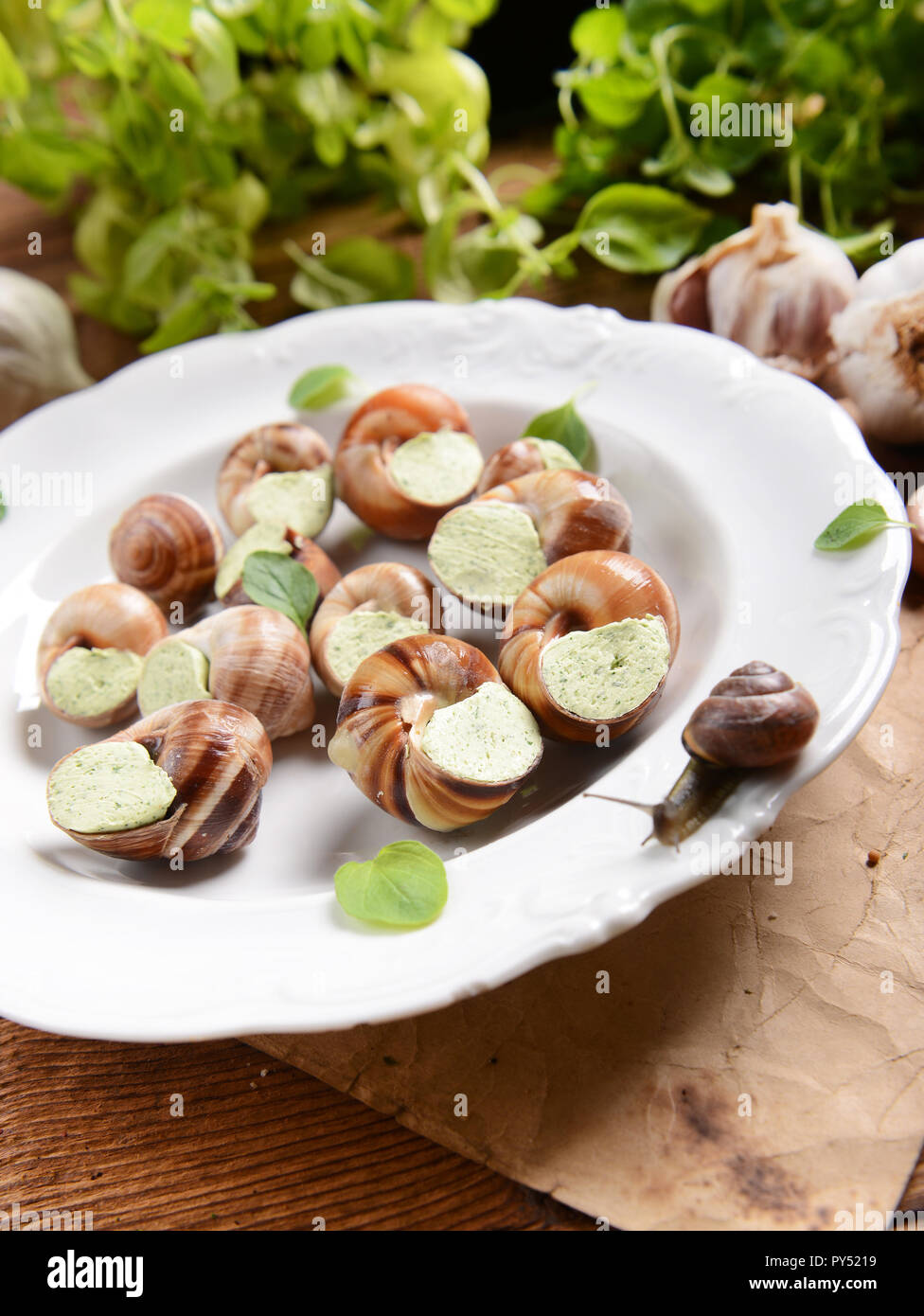 snails with garlic butter Stock Photo - Alamy