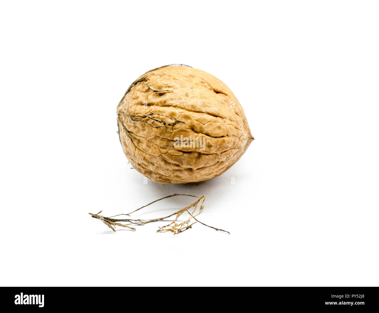 organic walnut on a white background,close up image Stock Photo - Alamy