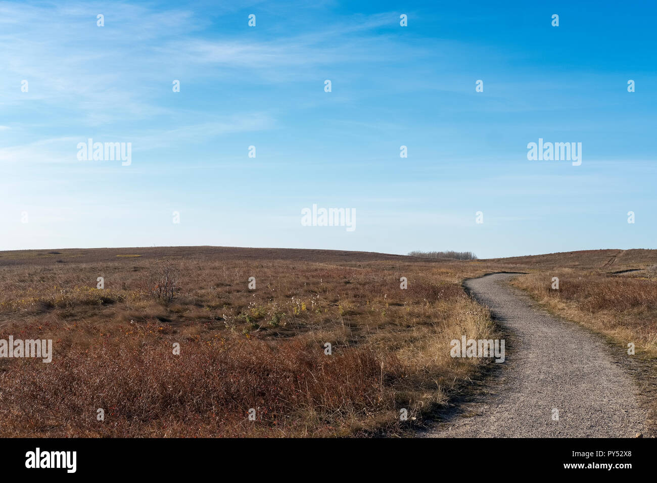 Nose Hill High Resolution Stock Photography and Images - Alamy