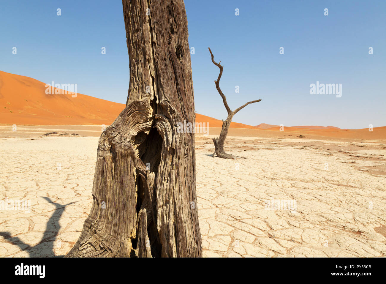 Deadvlei Namibia - dead trees and sand dunes, desert landscape at ...