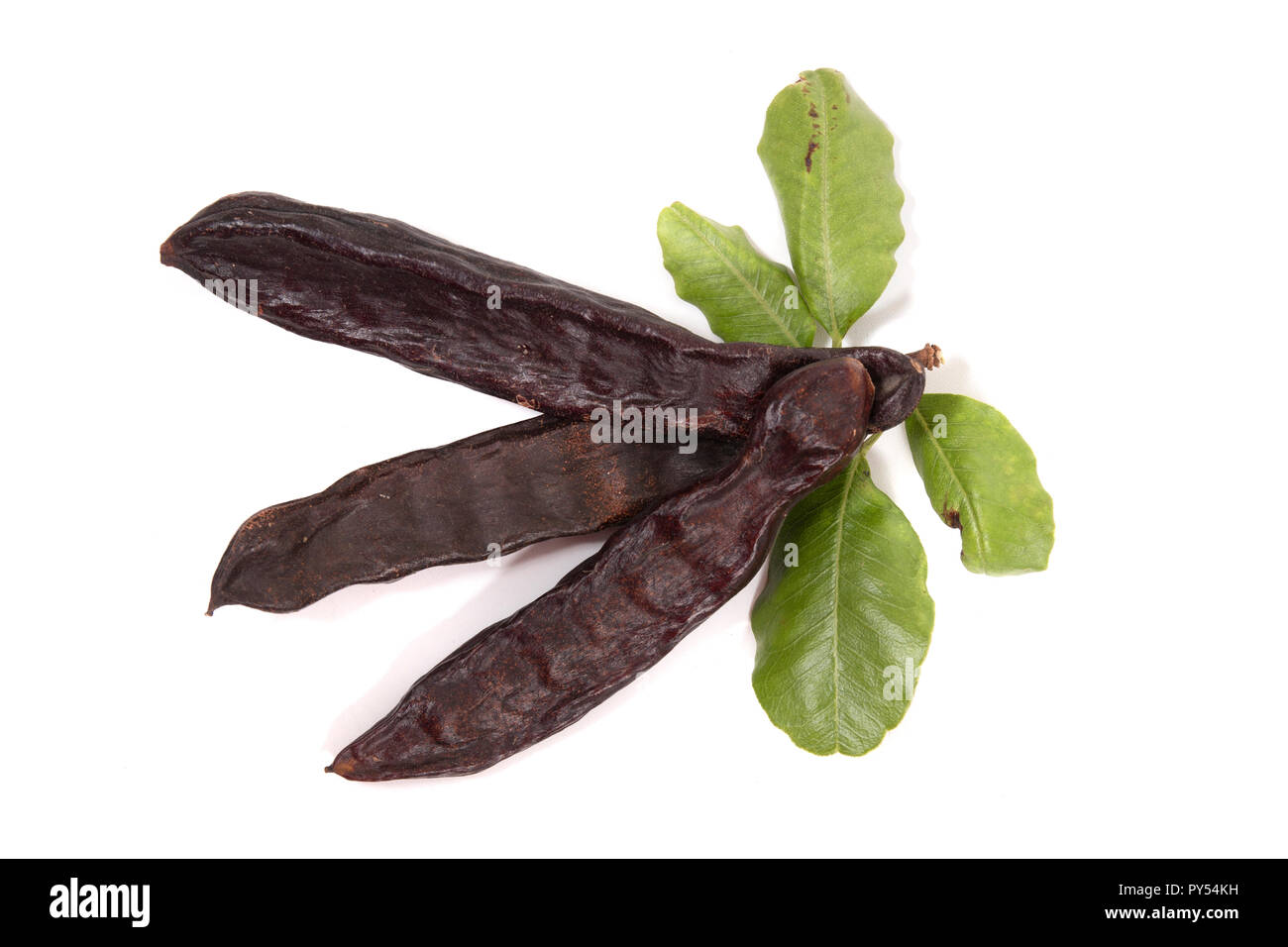 carob fruits with leafs isolated over a white background Stock Photo ...