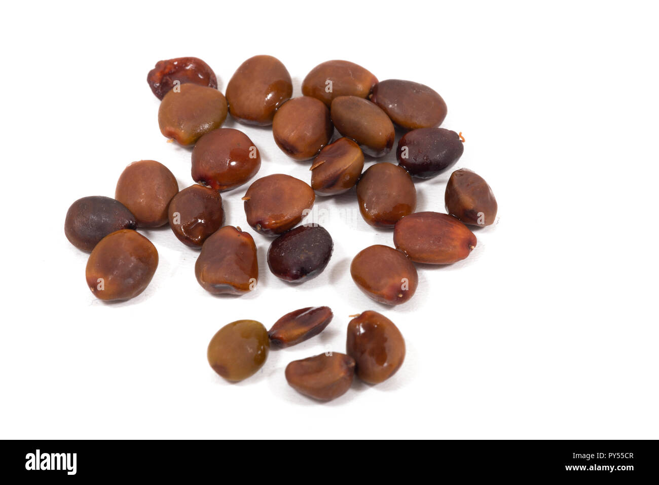 carob fruit seeds isolated over a white background Stock Photo - Alamy
