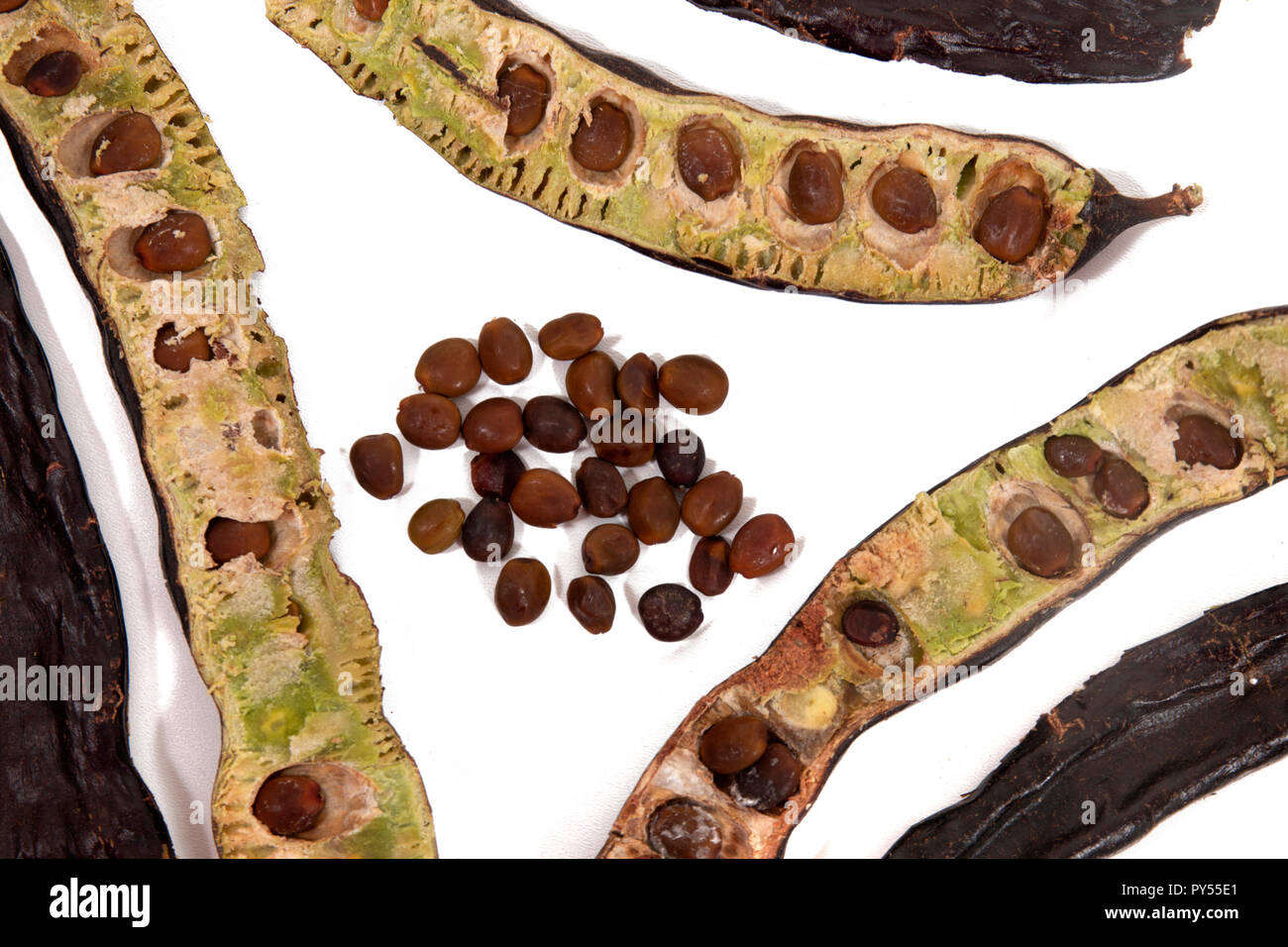 carob fruits with leafs isolated over a white background Stock Photo ...