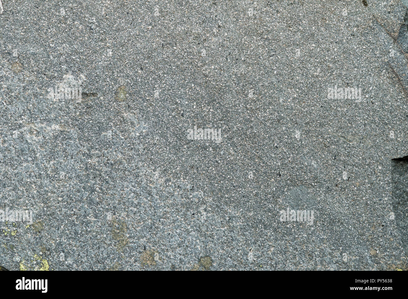 Lichen in stone Stock Photo - Alamy