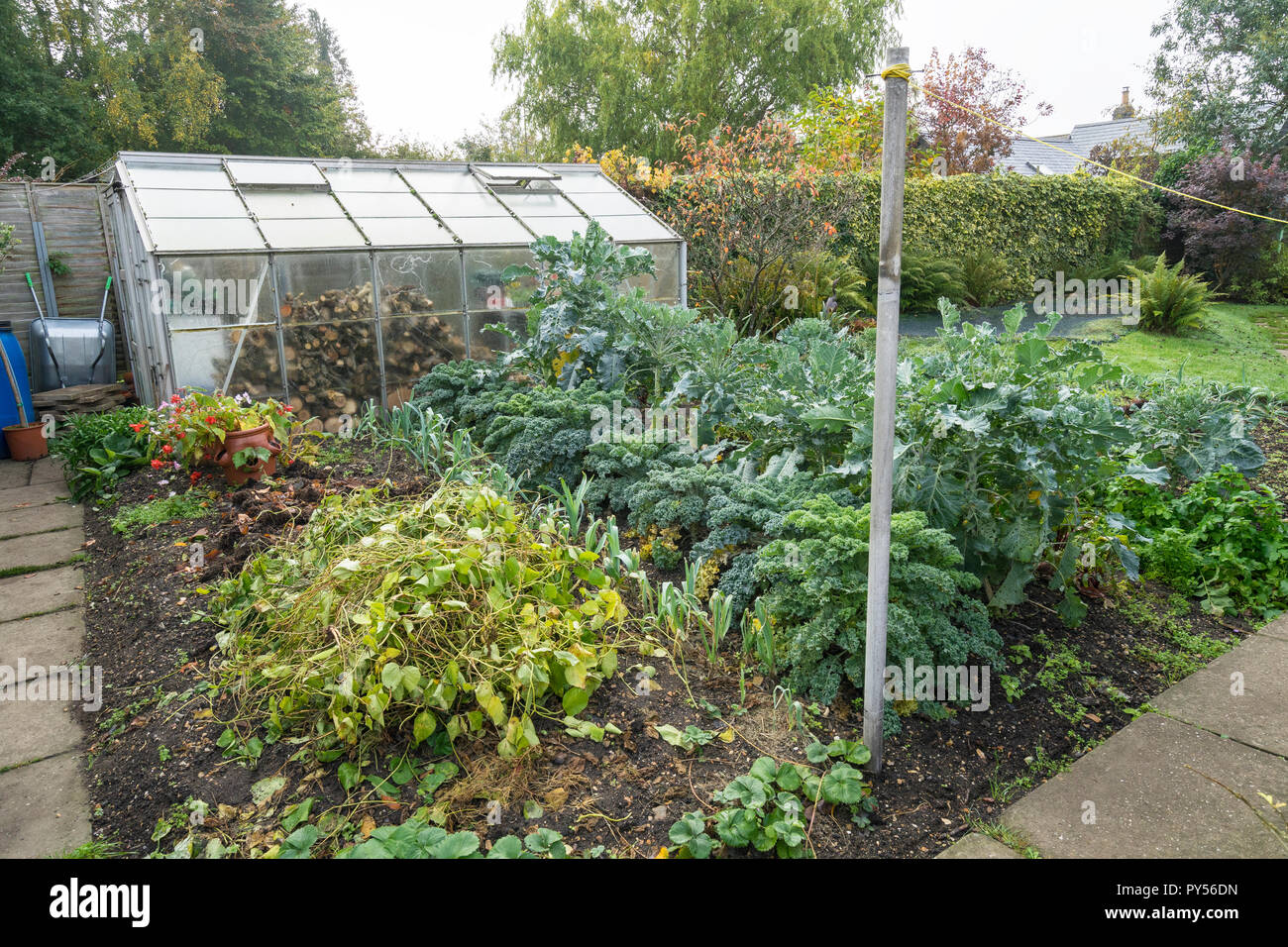 Small vegetable plot with greenhouse Stock Photo - Alamy