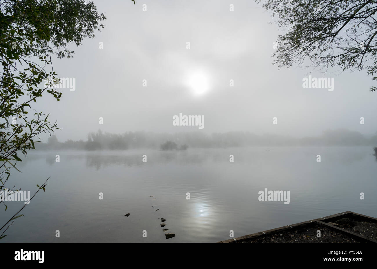 Misty lake hi-res stock photography and images - Alamy