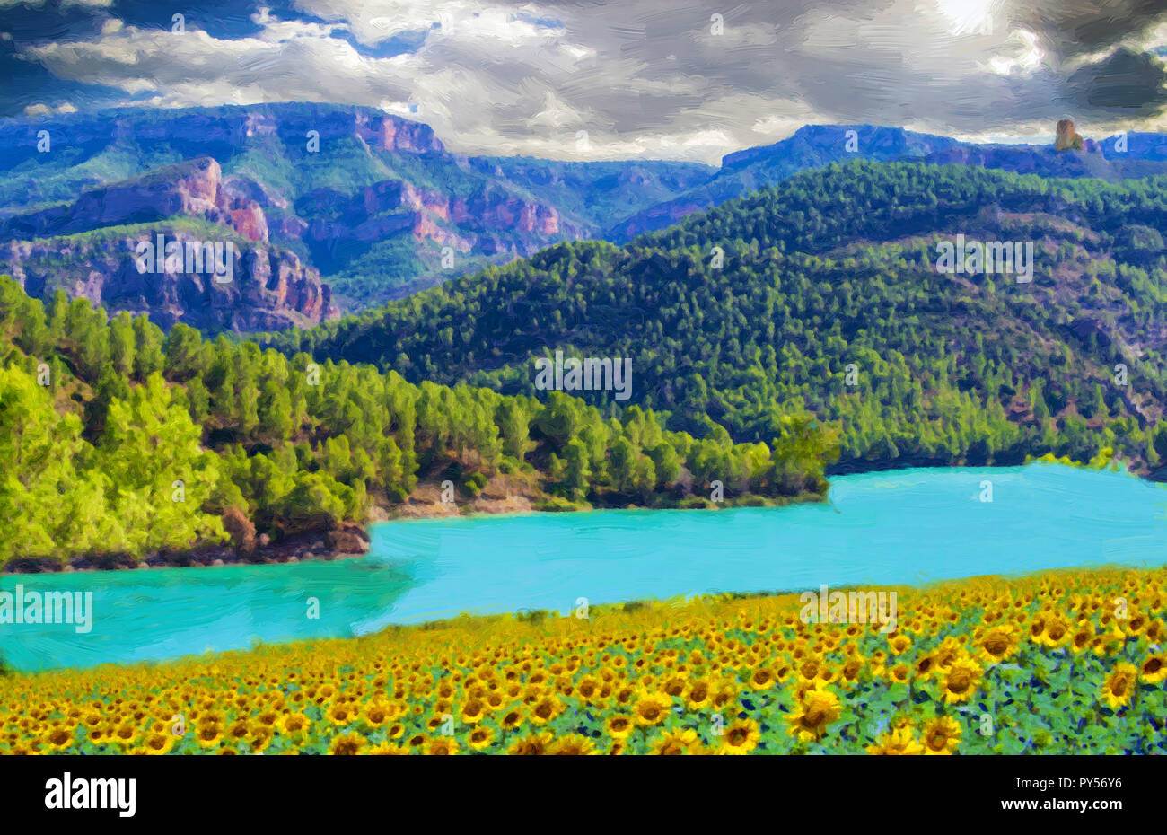 Summer landscape.Green summer meadow with flowers and herbs Stock Photo ...
