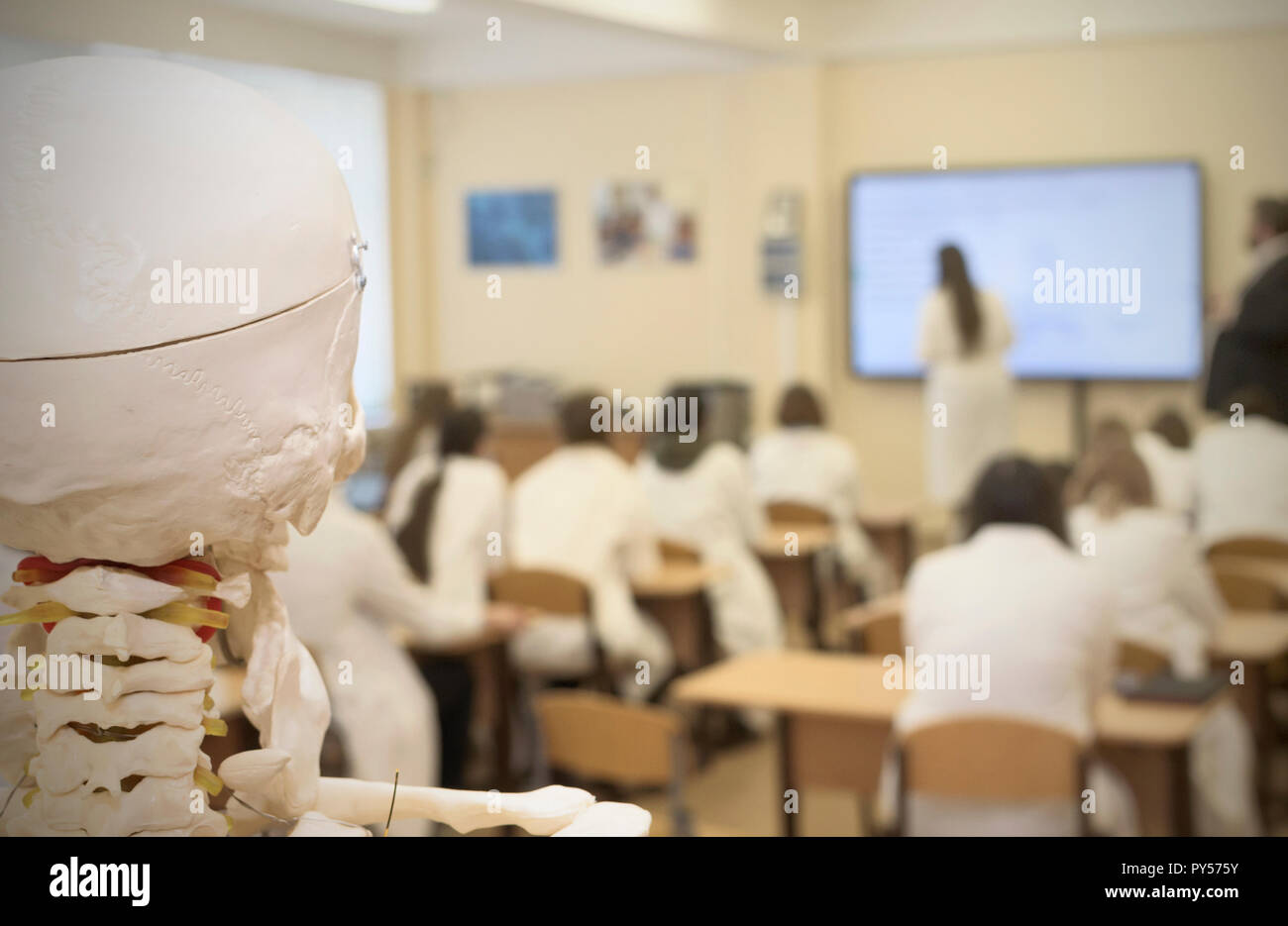 Human skeleton in classroom hi-res stock photography and images - Alamy