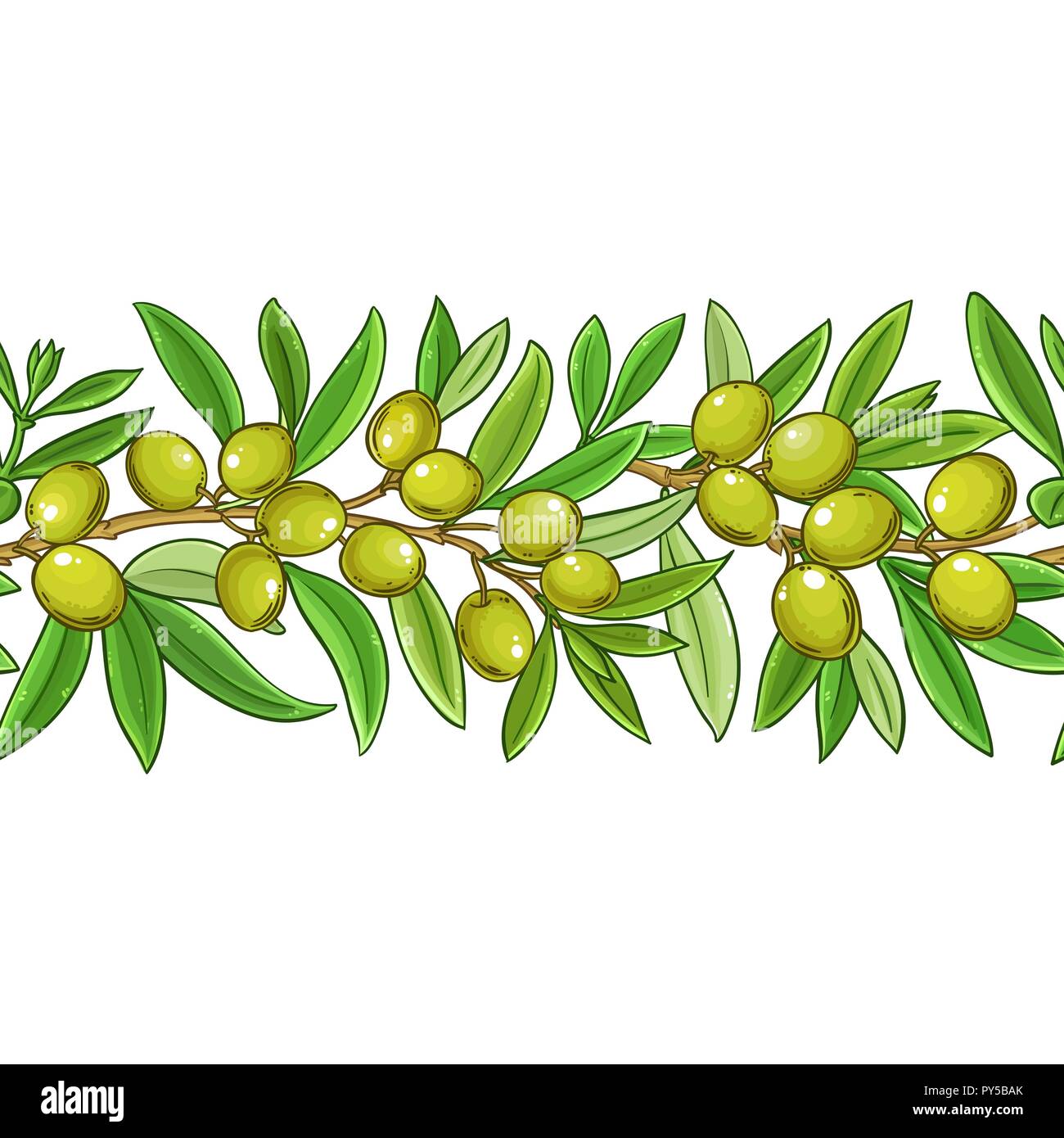 olive vector pattern on color background Stock Vector Image & Art - Alamy
