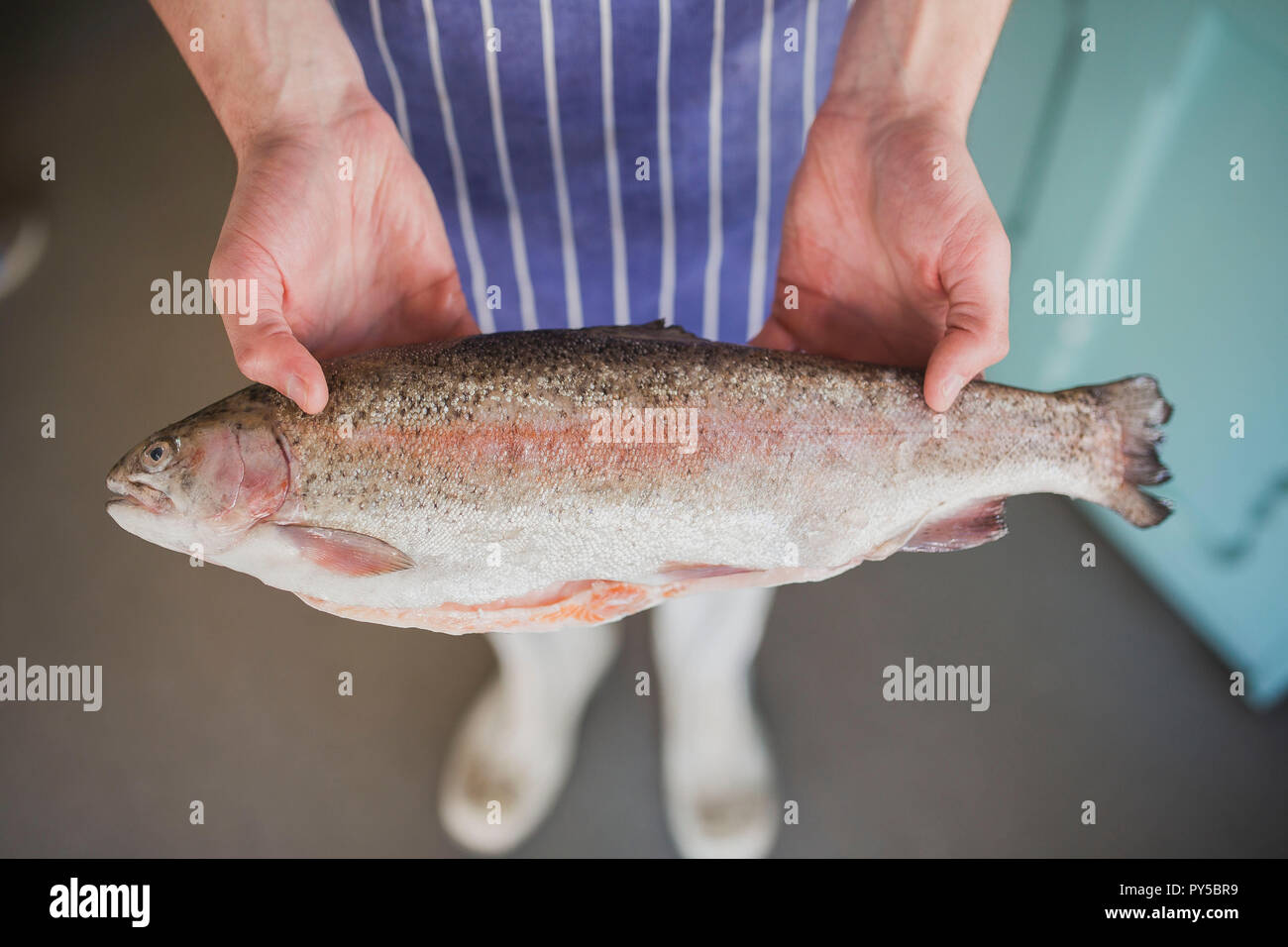 Two hands holding a fish hi-res stock photography and images - Alamy