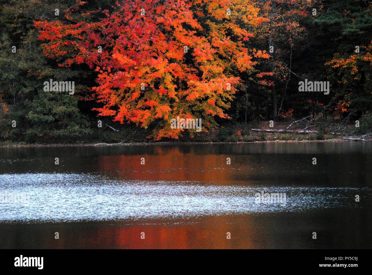 Connecticut background hi-res stock photography and images - Alamy
