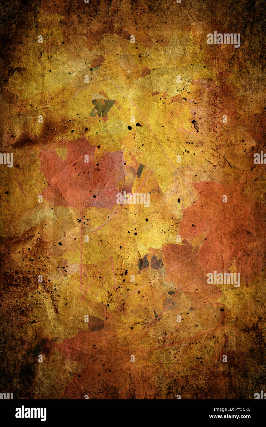 Autumn background - old paper with maple leaves Stock Photo - Alamy
