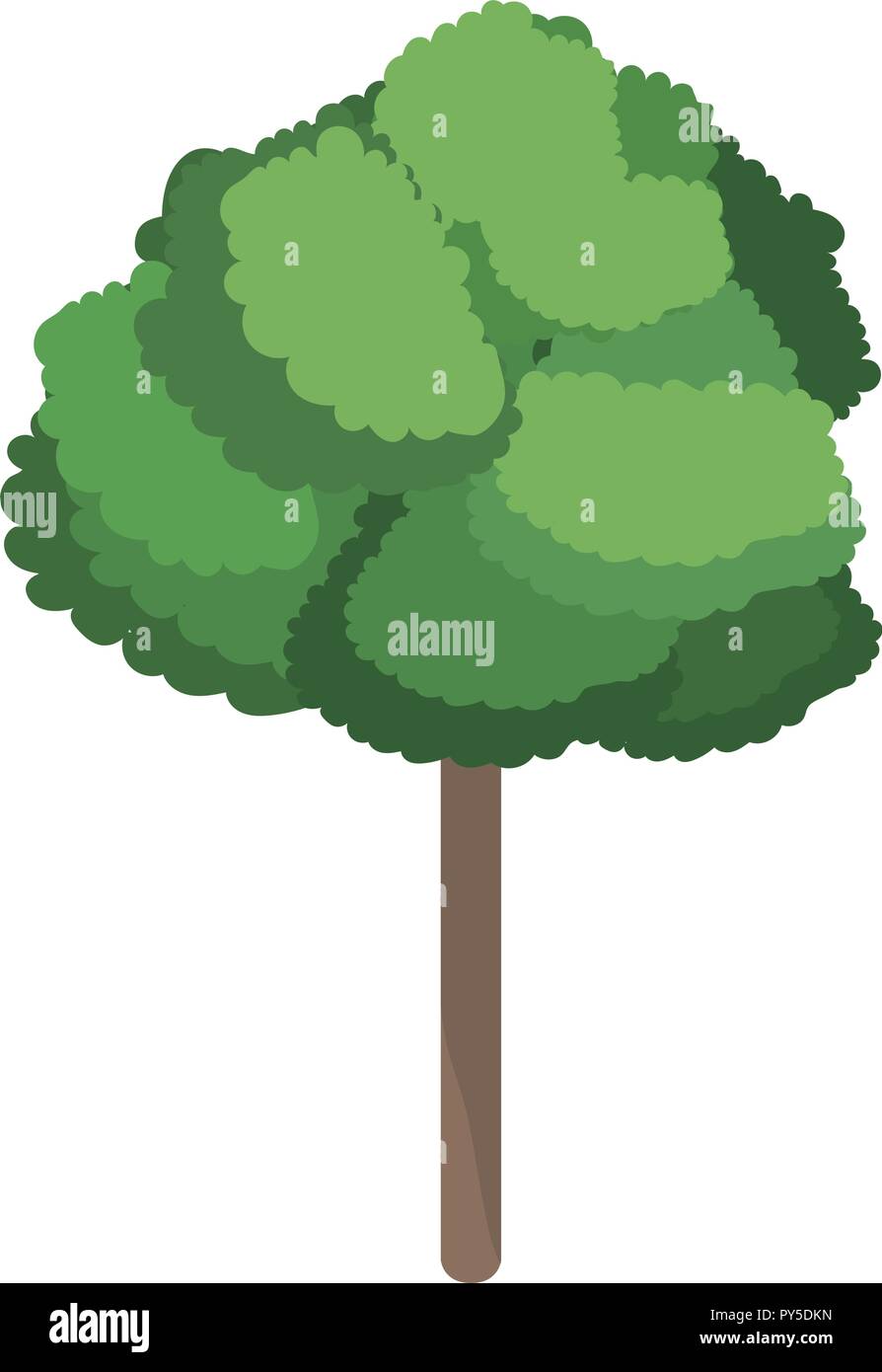 Tree nature cartoon Stock Vector Image & Art - Alamy